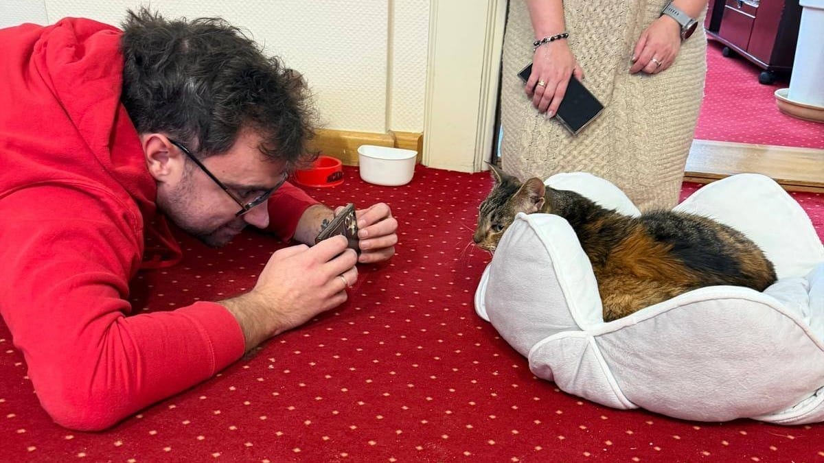 Perełka zamieszkała w Urzędzie Miasta w Ostródzie - Nasz Głos Ostróda